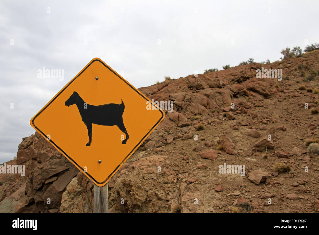 Warning sign for goats on road, Neuquen, Patagonia, Argentina Stock ...
