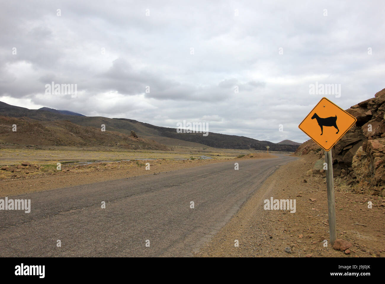 Goats crossing road hi-res stock photography and images - Alamy