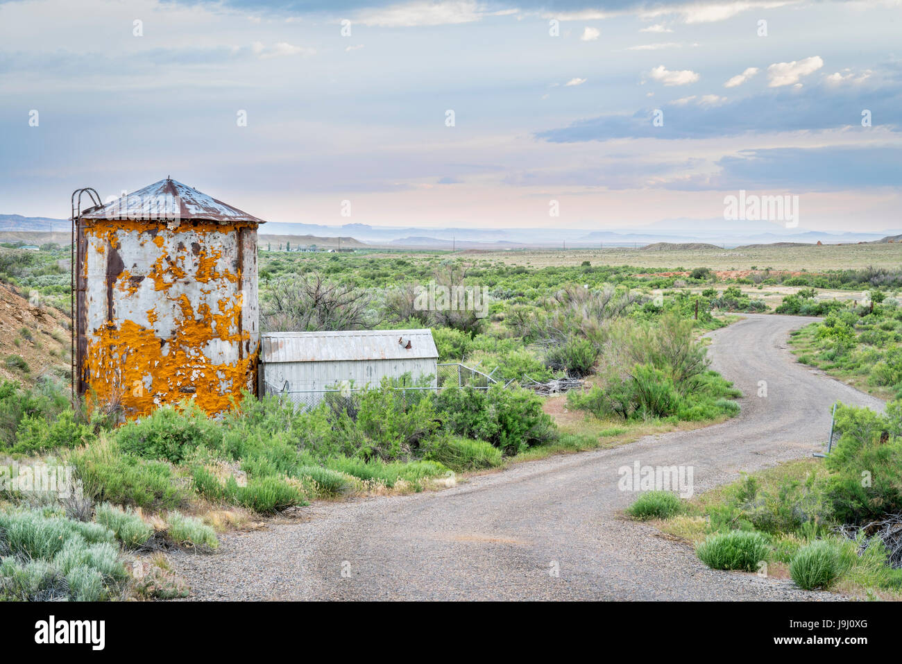Lichen in the desert hi-res stock photography and images - Alamy