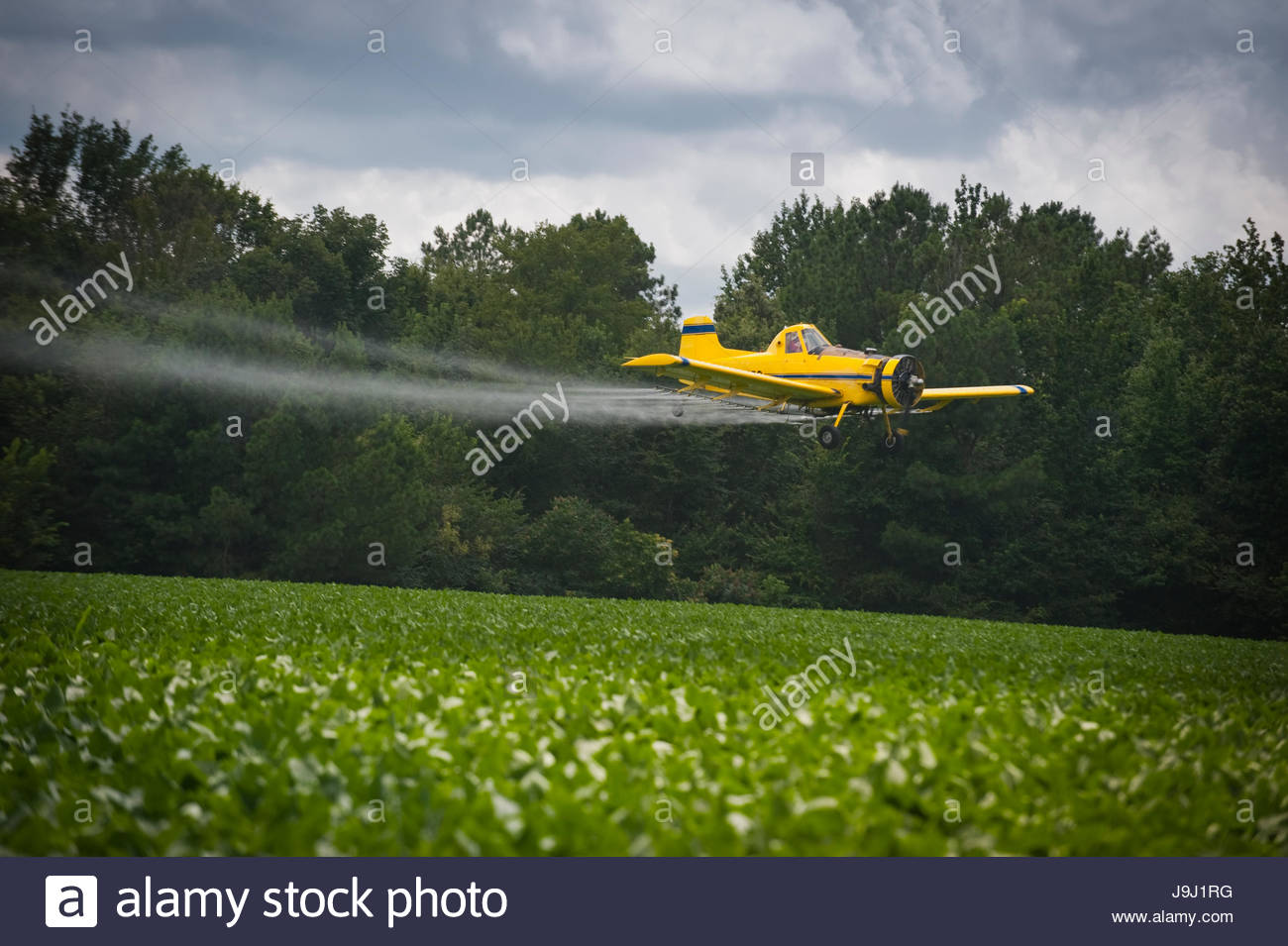 Spraying Pesticide Stock Photos & Spraying Pesticide Stock Images - Alamy
