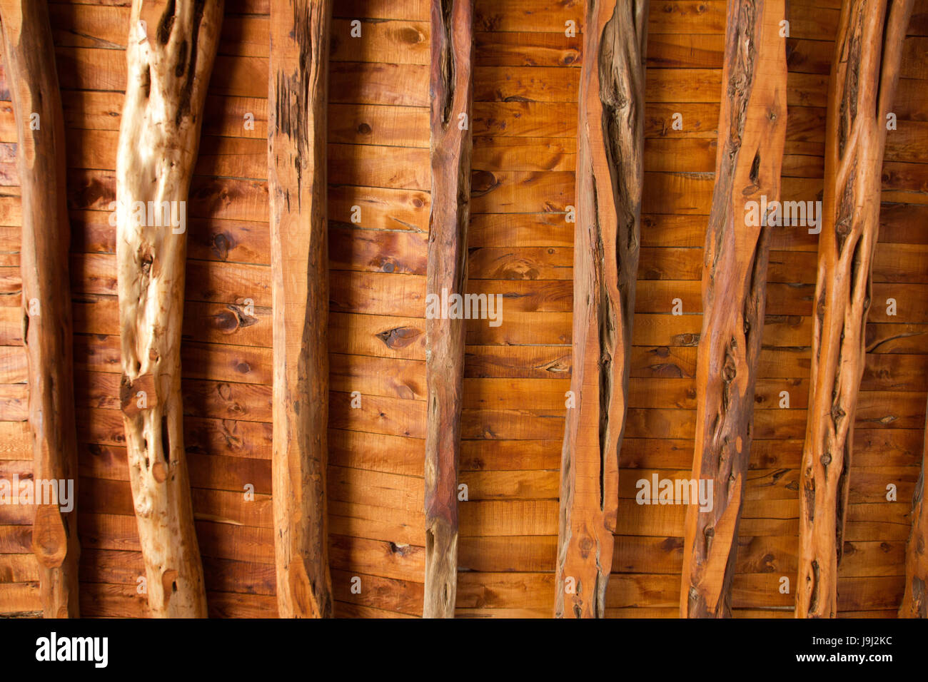 detail, model, design, project, concept, plan, draft, closeup, tree ...