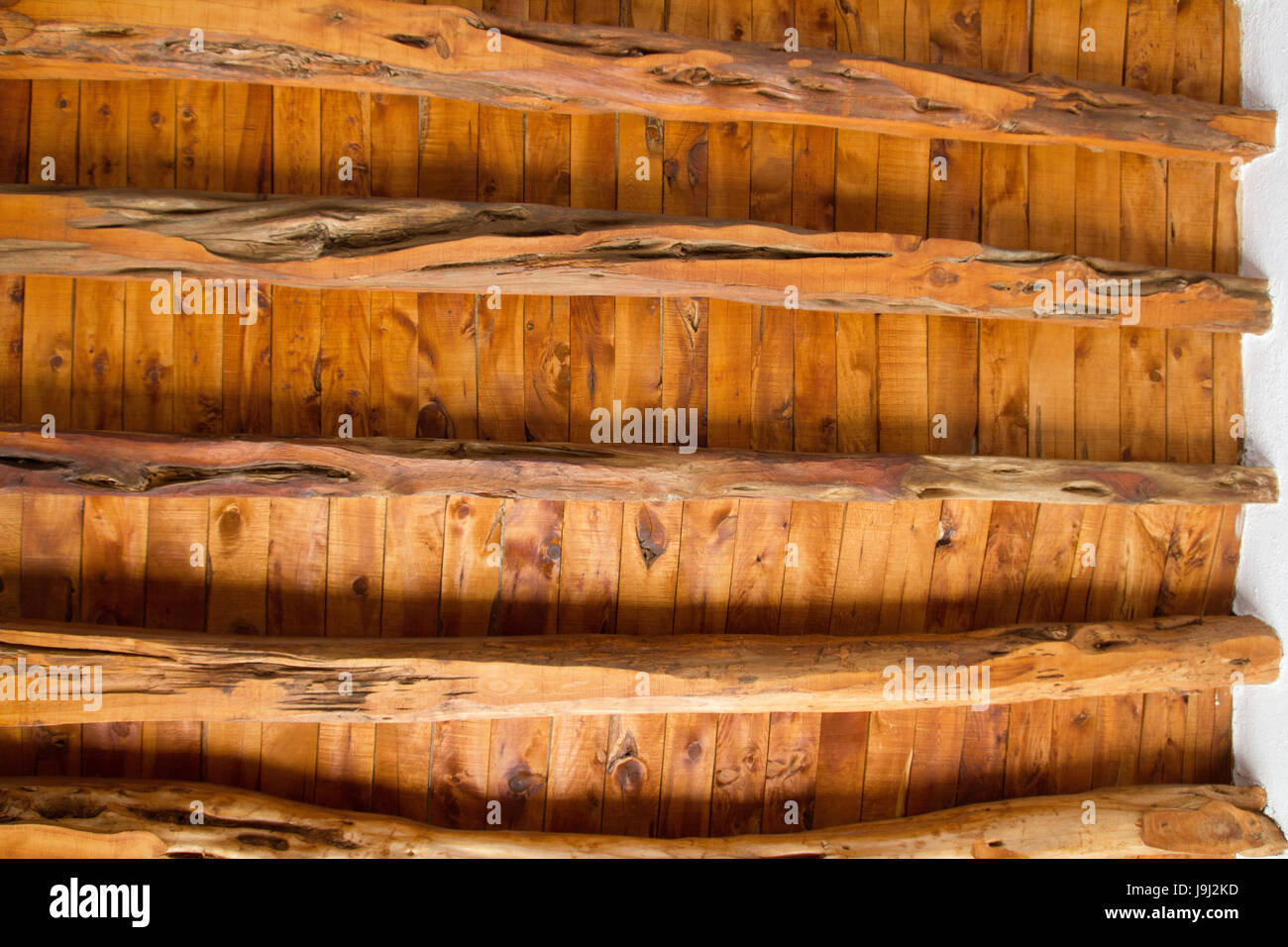 detail, model, design, project, concept, plan, draft, closeup, tree ...