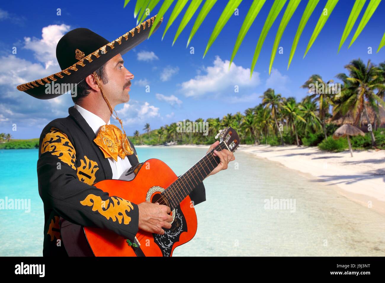 blue, humans, human beings, people, folk, persons, human, human being ...