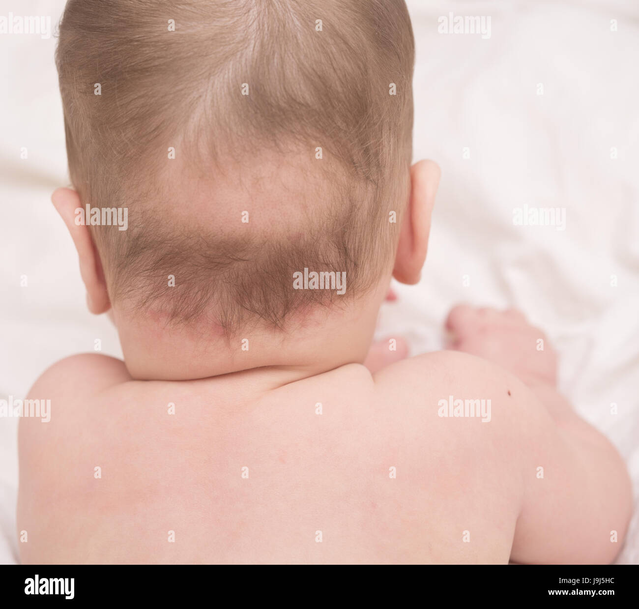 close up of baby bald patch Stock Photo - Alamy