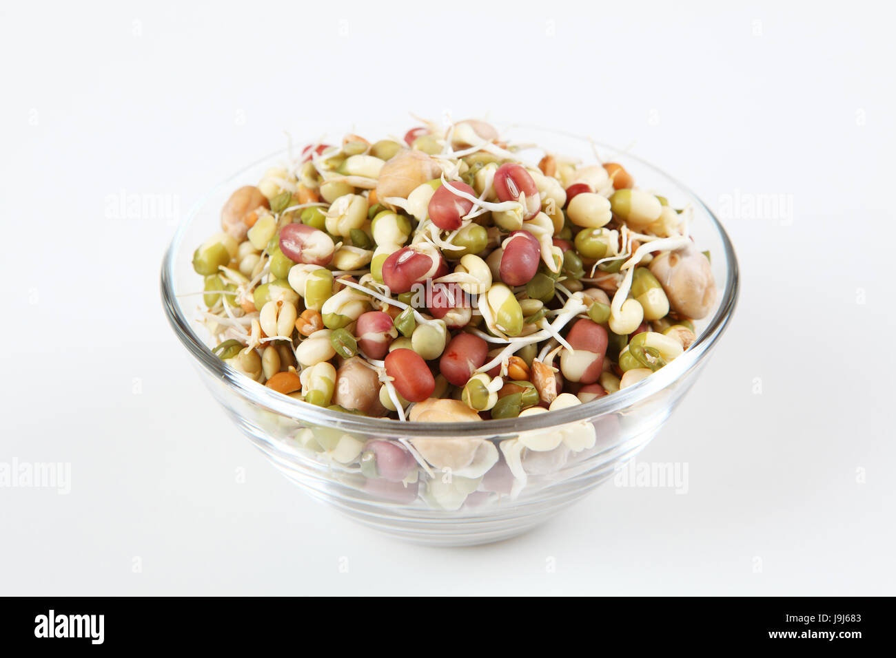 germination, mixed, germs, sprouts, food, aliment, uncooked vegetarian ...