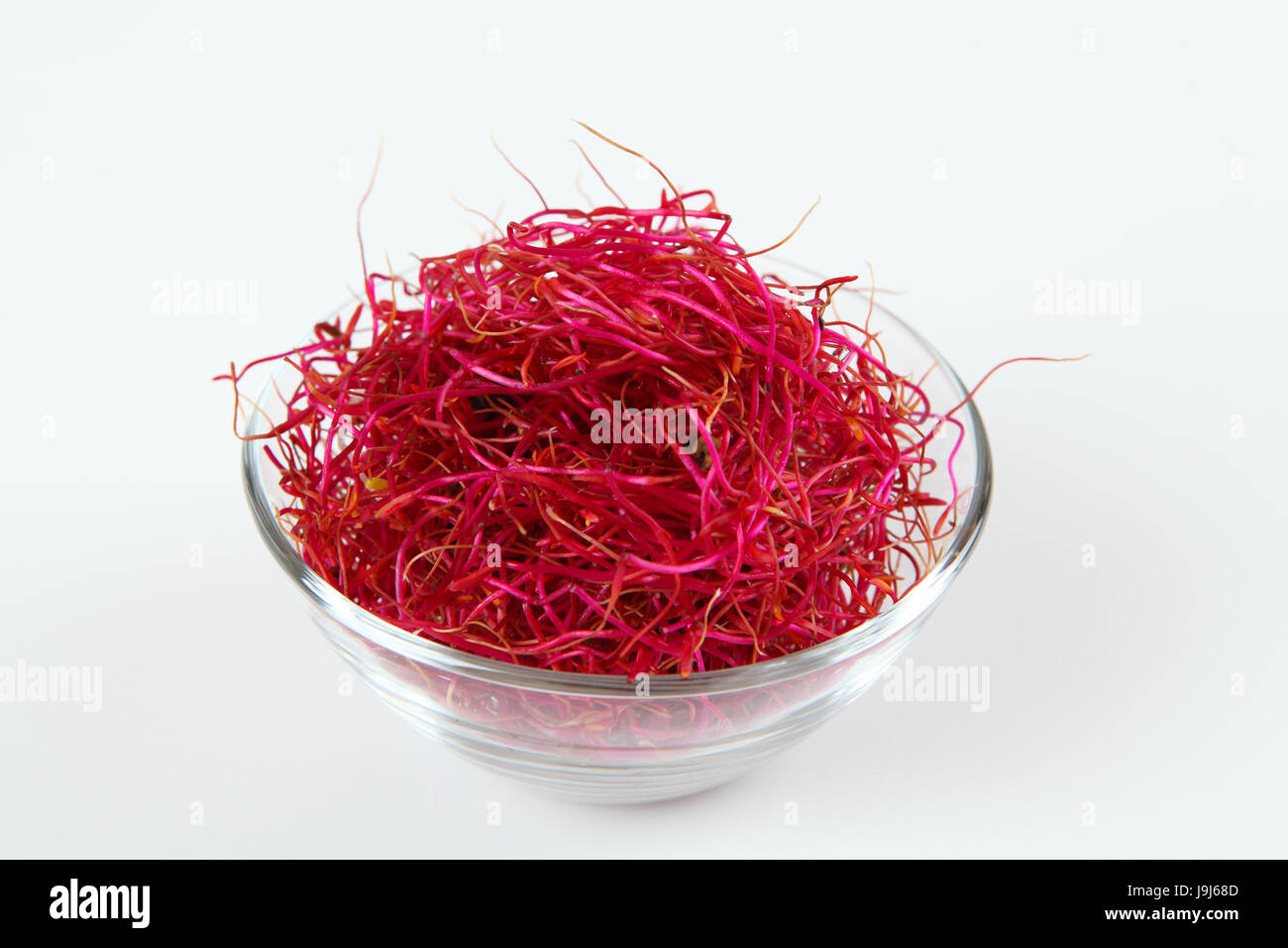 beds, germination, ruddiness, sprouts, red, salad, healthy, food ...