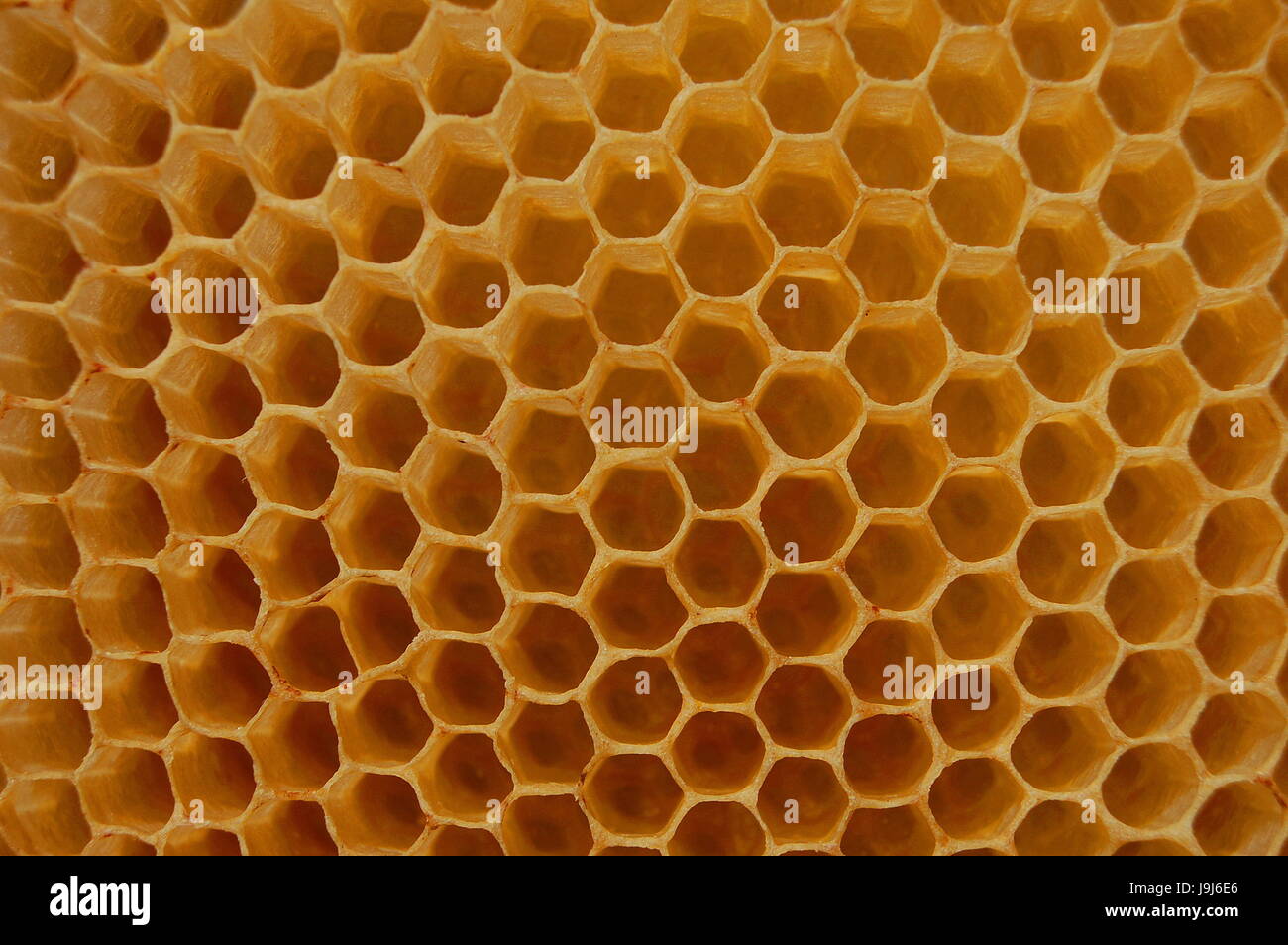 wax, wallpaper, honeycomb, yellow, insect, bee, texture, natural, sweet ...