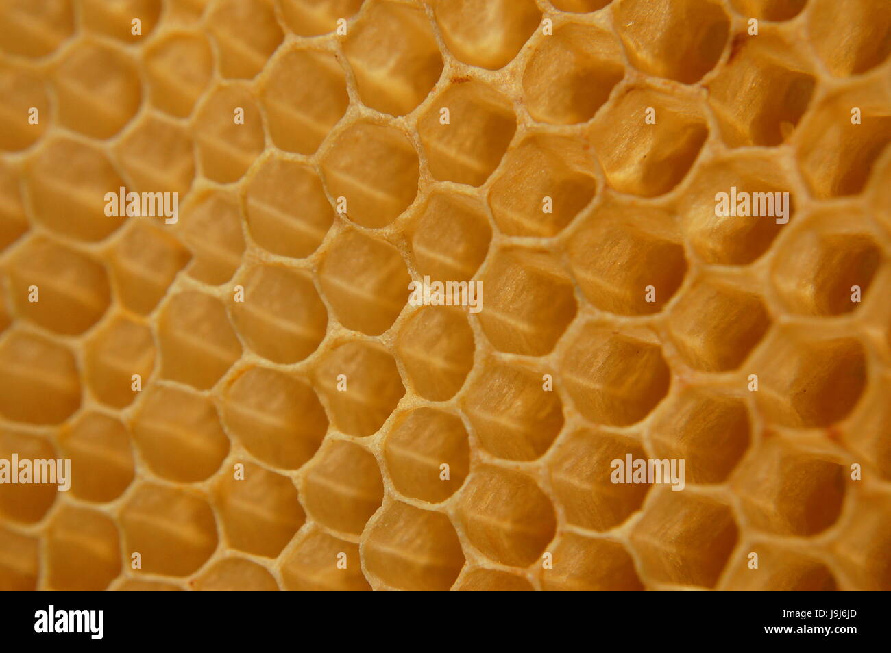 wax, wallpaper, honeycomb, yellow, insect, bee, texture, natural, sweet ...