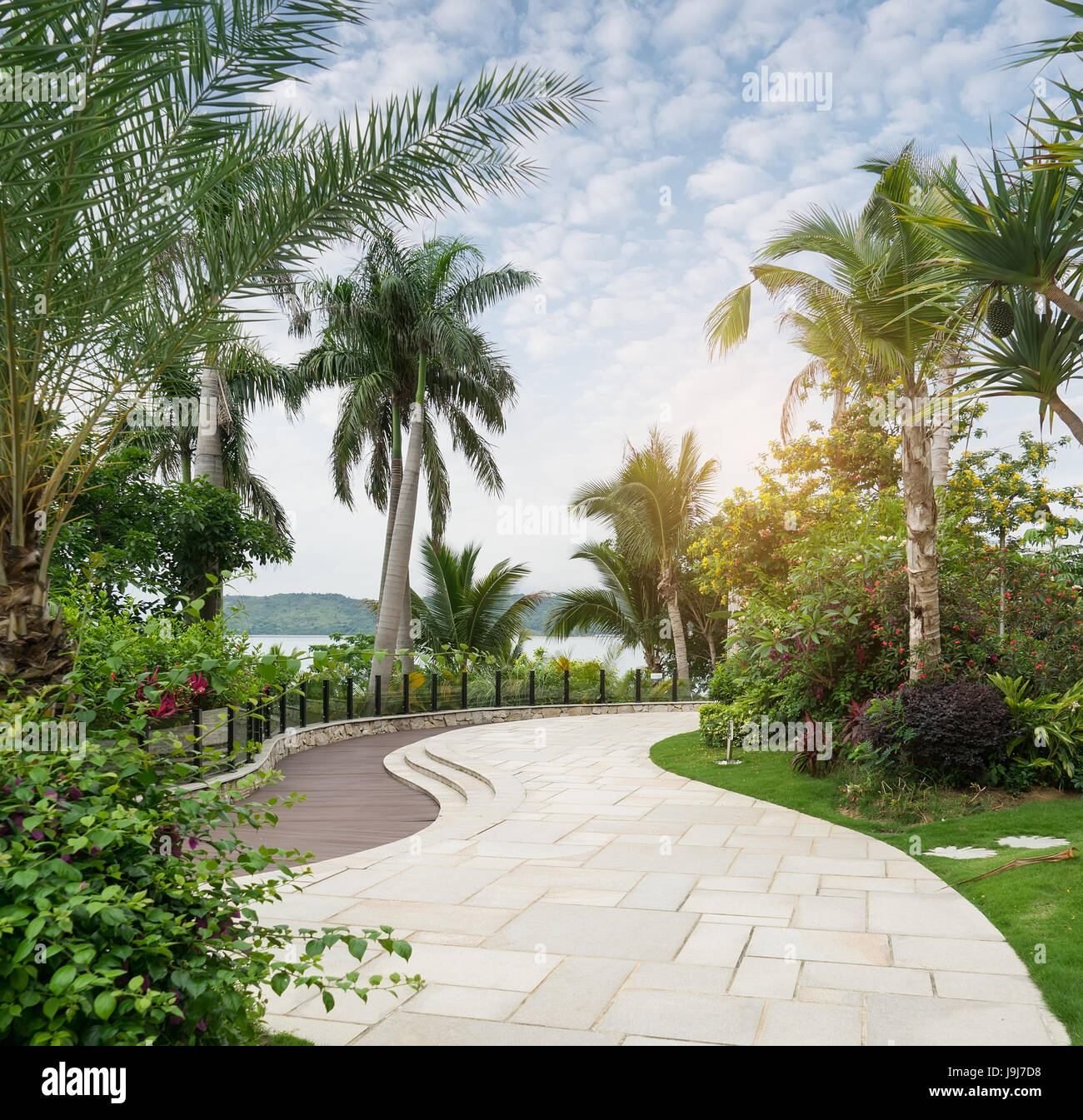 Walkway in a beautiful Park with Palms Stock Photo - Alamy
