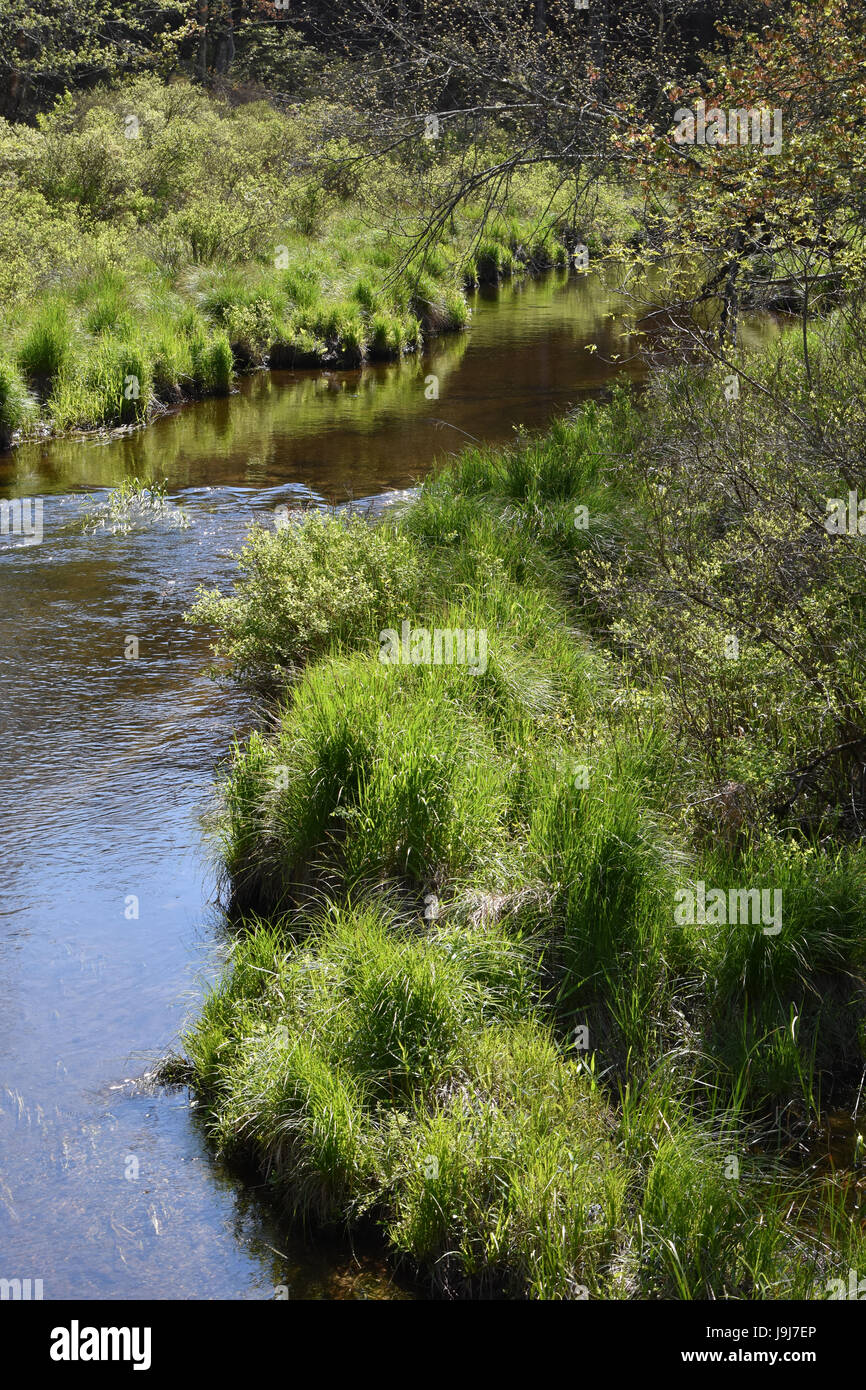 Lush streambanks hi-res stock photography and images - Alamy