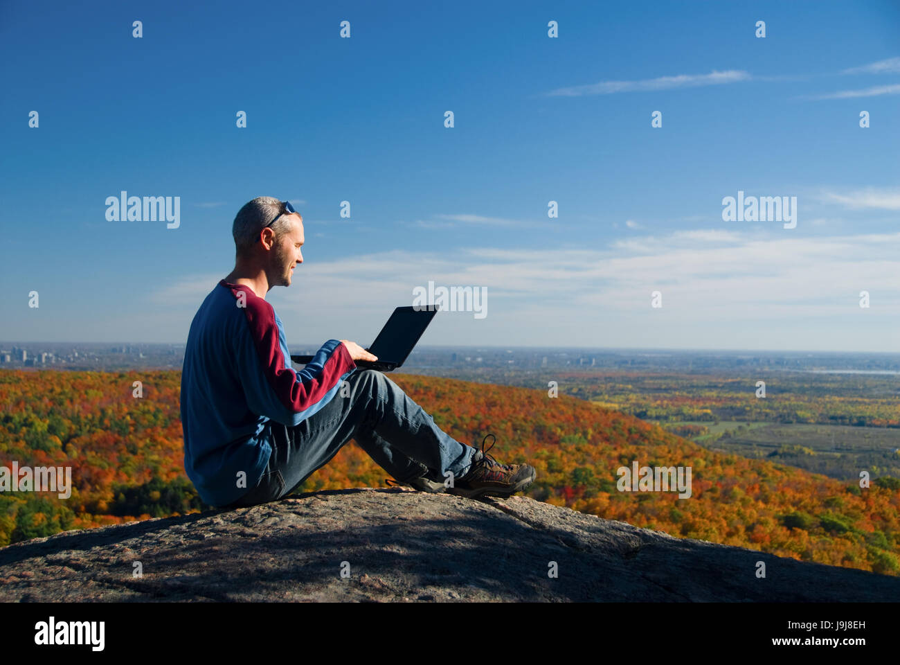 blue, laptop, notebook, computers, computer, tree, trees, male ...
