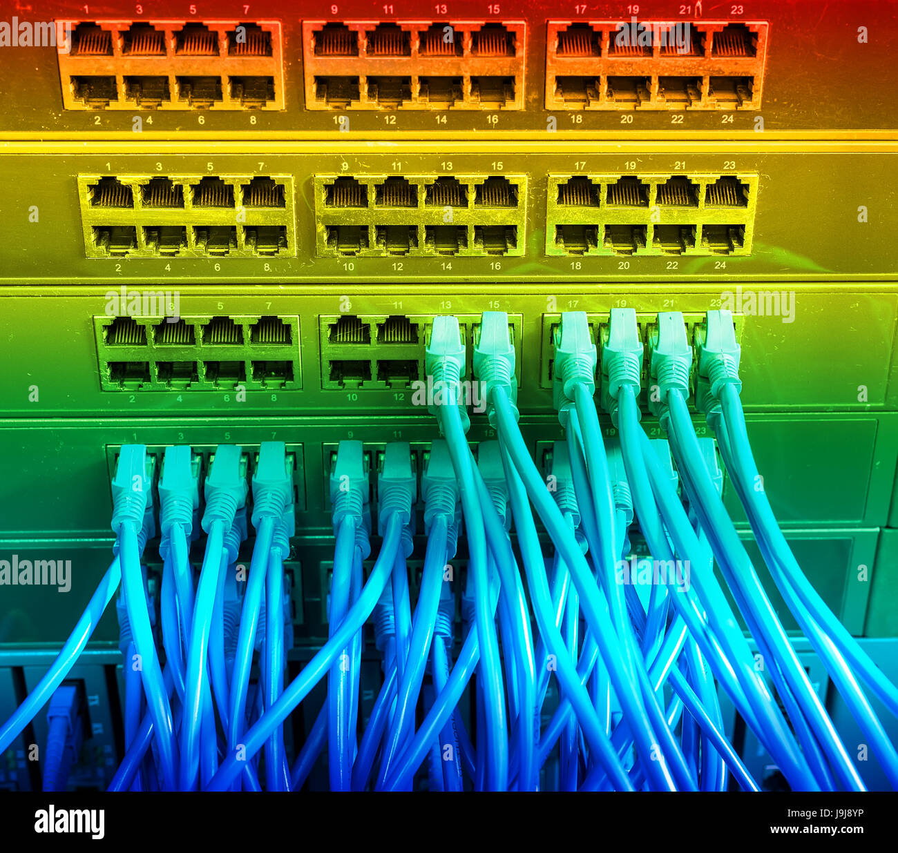 network cables connected to a switch Stock Photo - Alamy