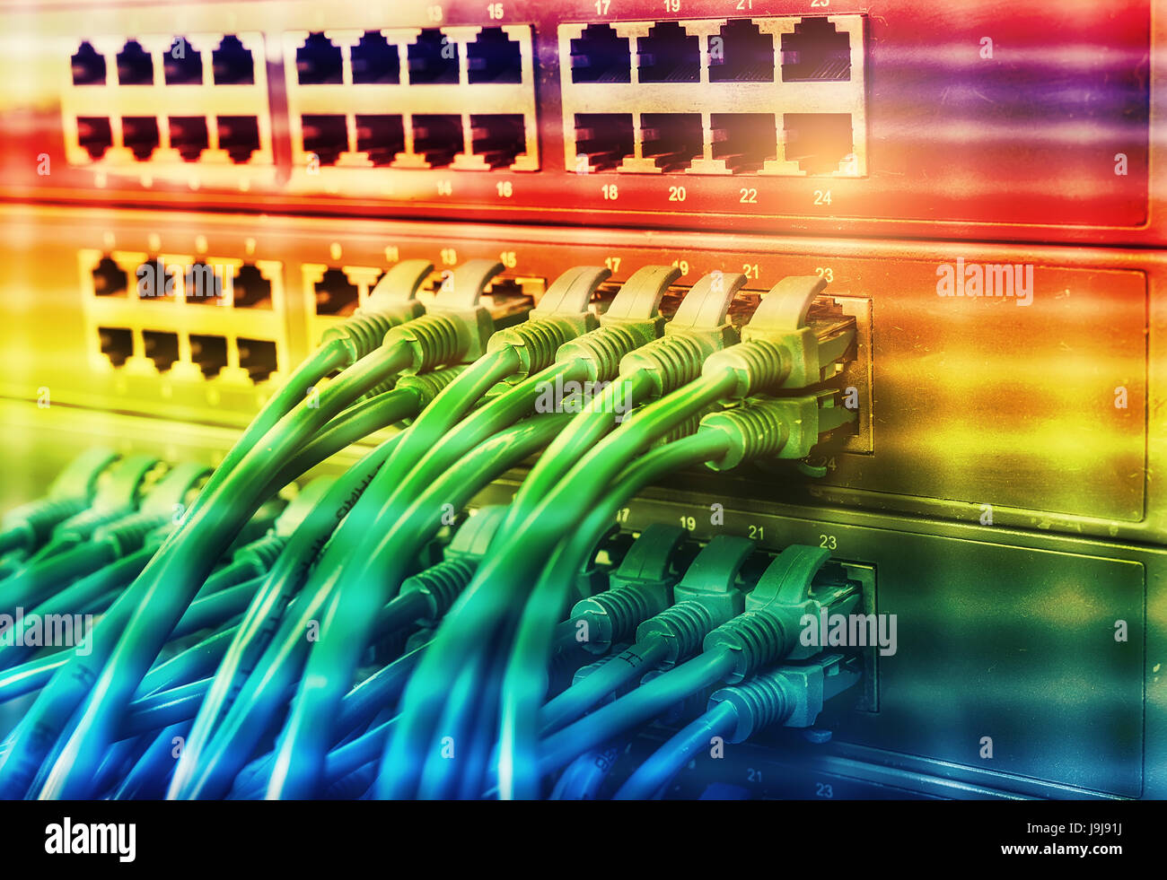 network cables connected to a switch Stock Photo - Alamy