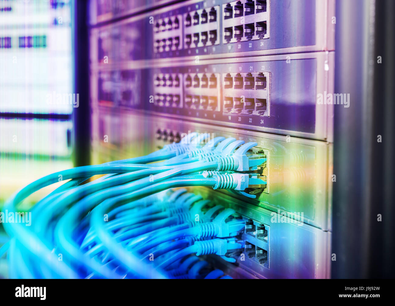 network cables connected to a switch Stock Photo - Alamy
