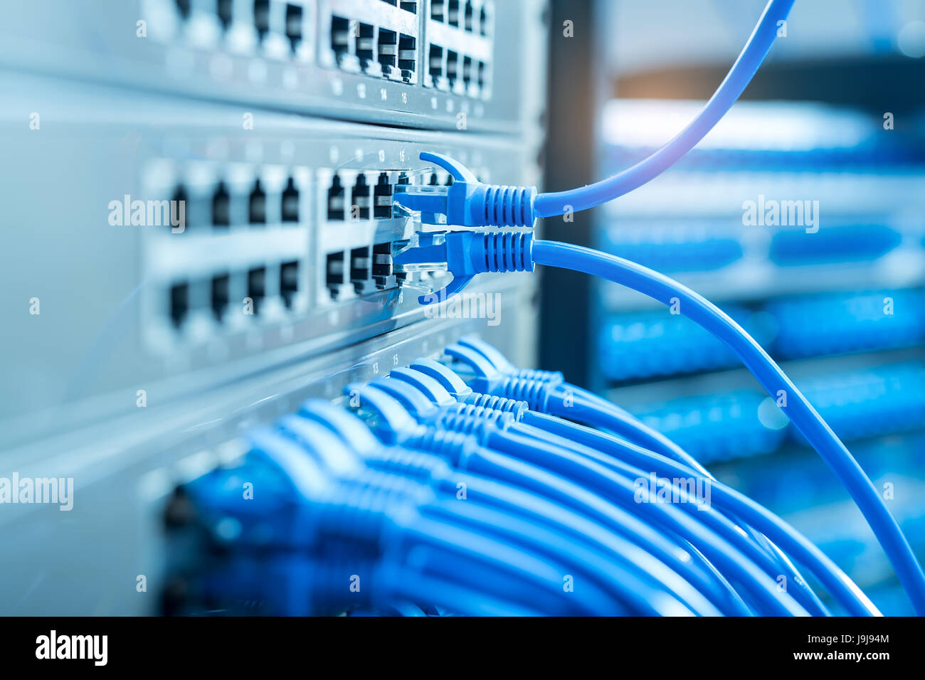network cables connected to a switch Stock Photo - Alamy