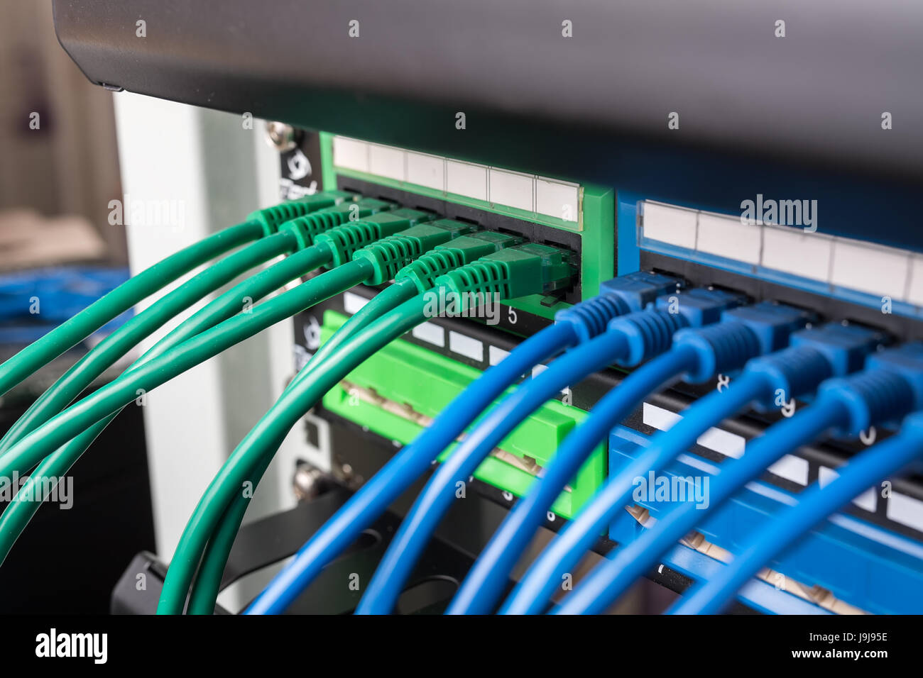 network cables connected to a switch Stock Photo - Alamy