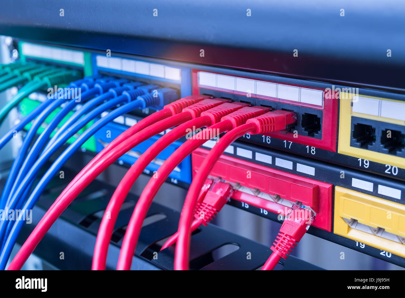 network cables connected to a switch Stock Photo - Alamy
