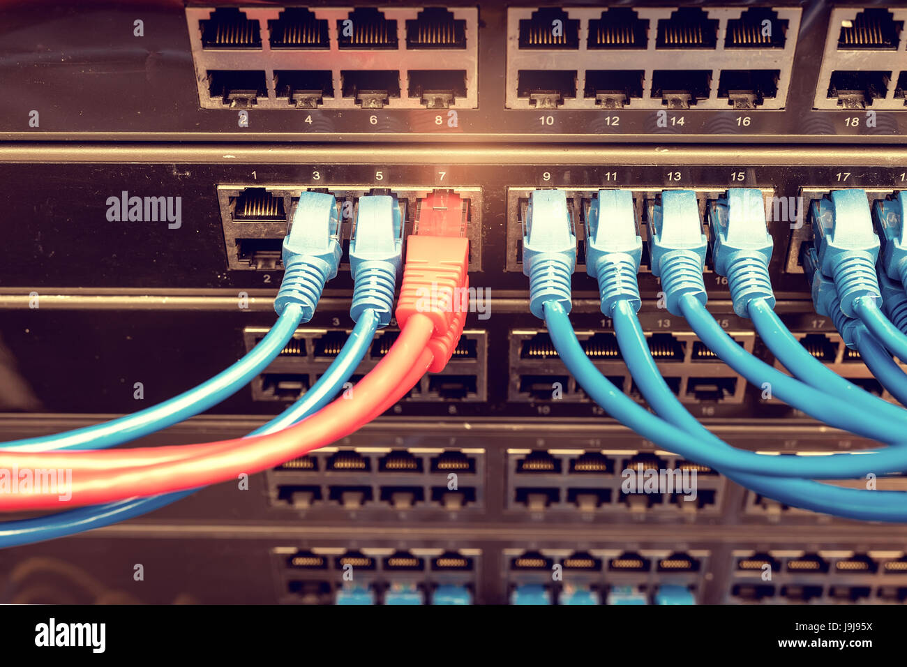 network cables connected to a switch Stock Photo - Alamy