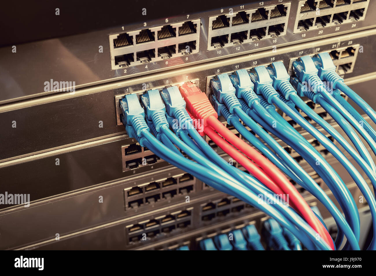 network cables connected to a switch Stock Photo - Alamy
