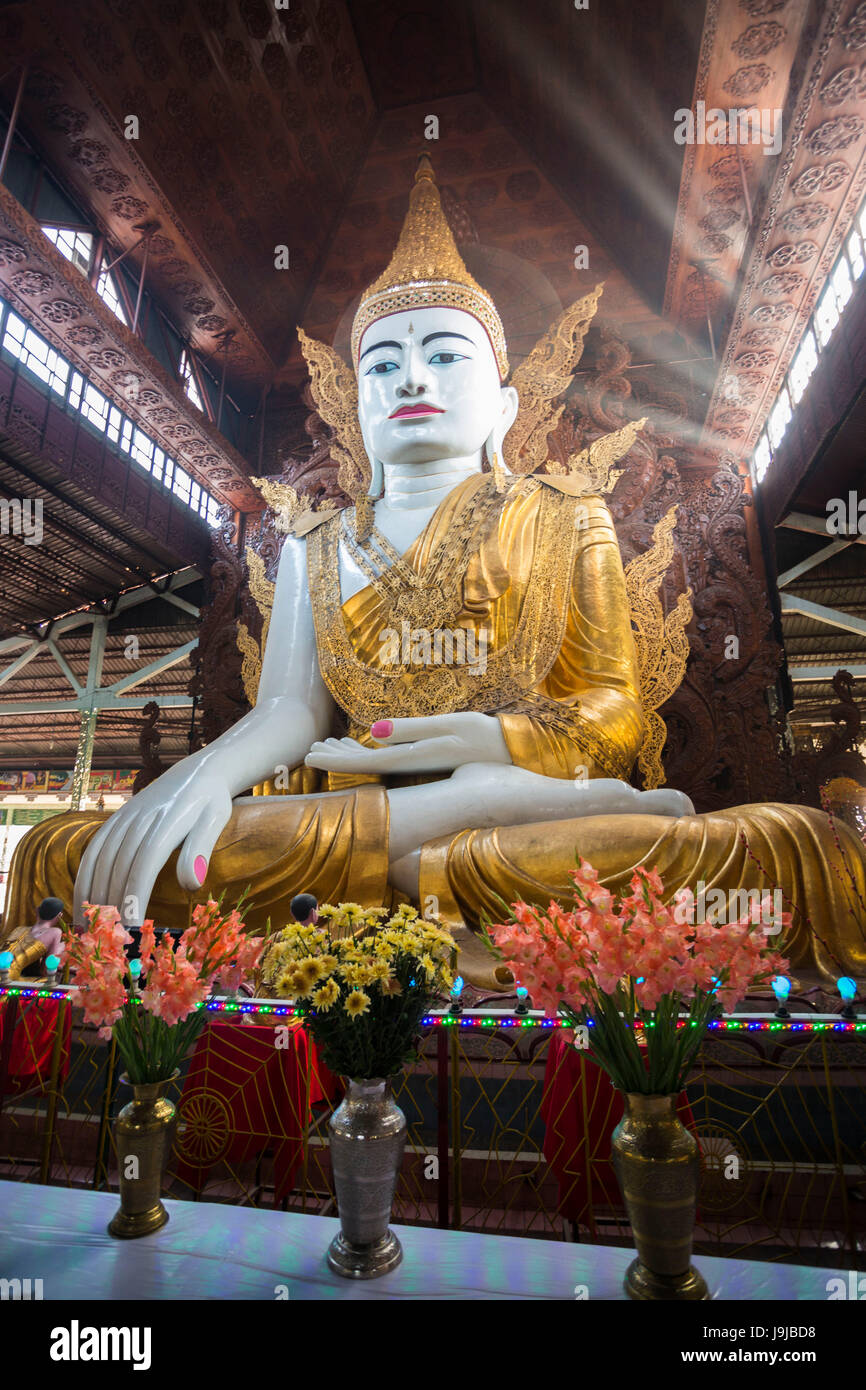 Chank hi-res stock photography and images - Alamy