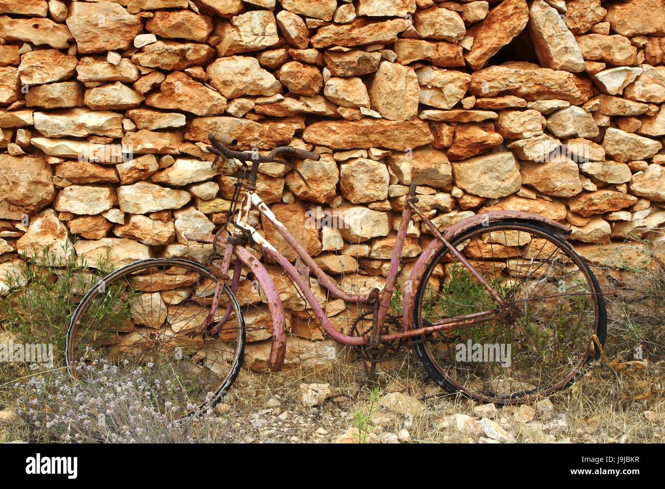 house, building, build, historical, environment, enviroment, closeup ...