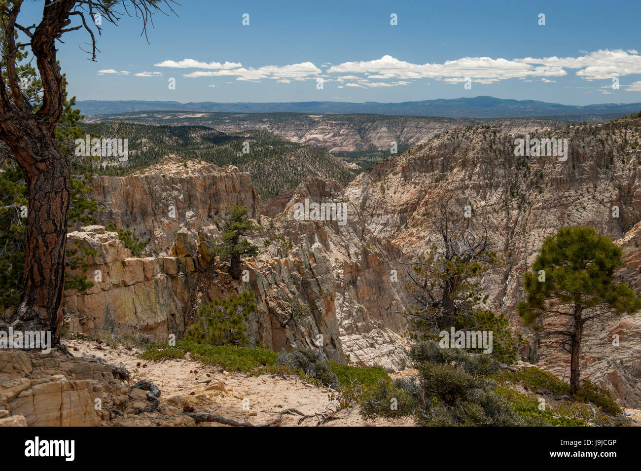 Death Hollow, as seen from Hell's Backbone on the historic road between ...