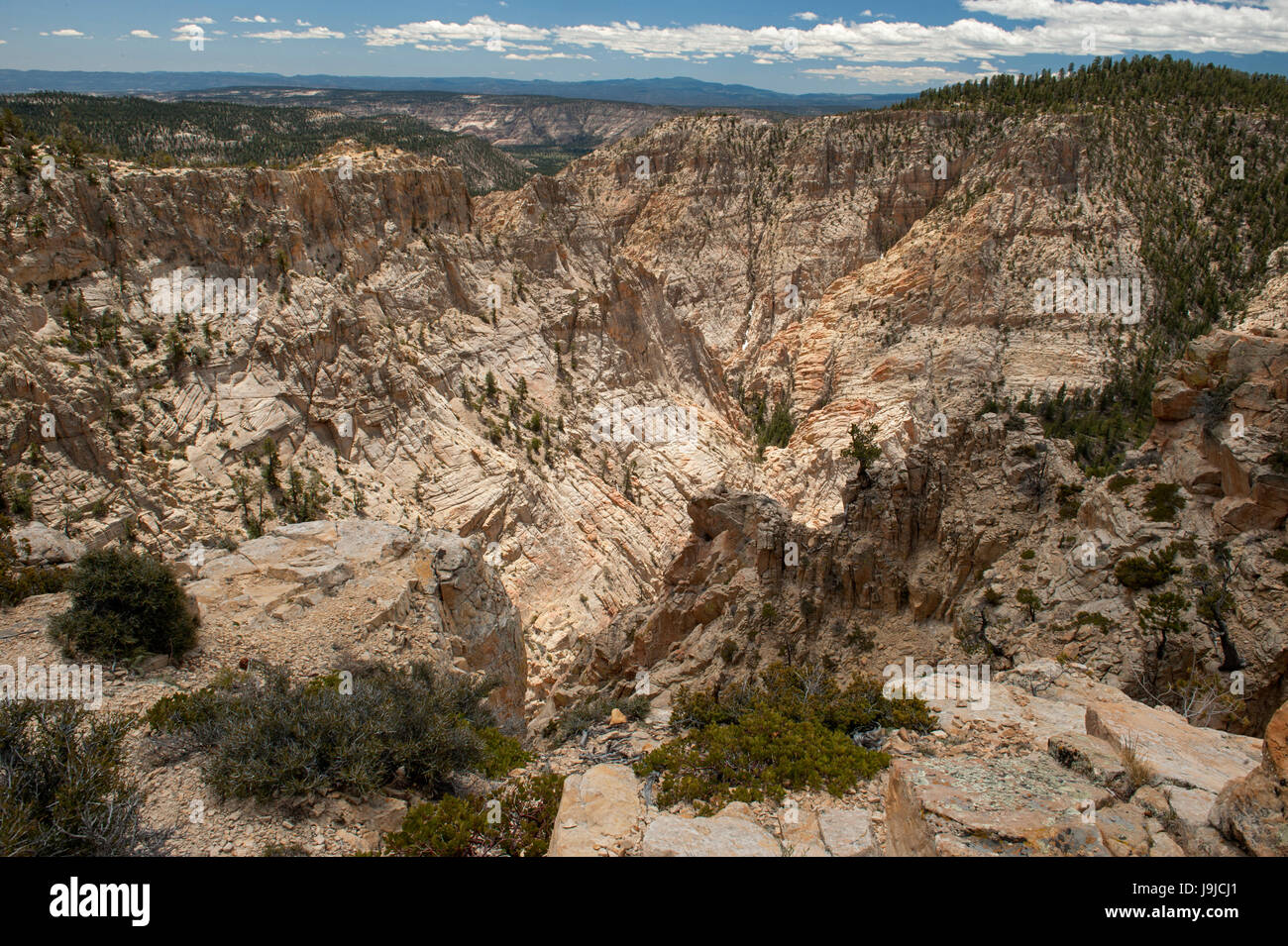 Death Hollow, as seen from Hell's Backbone on the historic road between ...