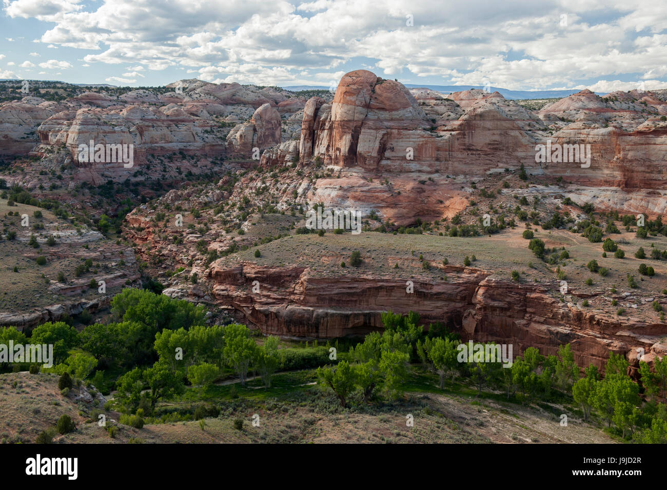 Lovely strawberry-swirl cliffs of pink Navajo sandstone line the ...