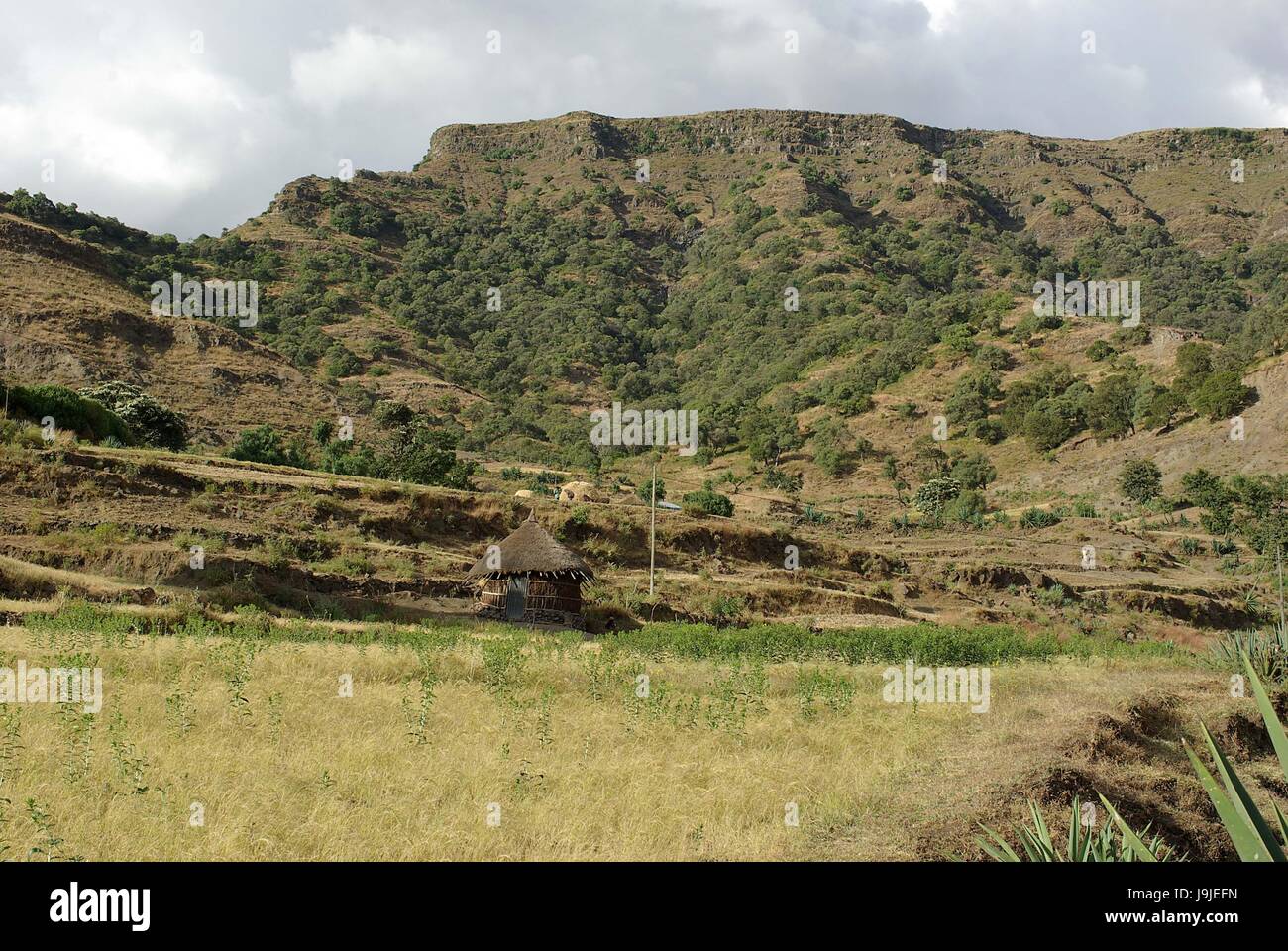 house, building, africa, traditional, style of construction ...