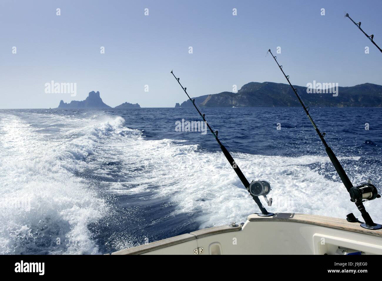 blue, humans, human beings, people, folk, persons, human, human being ...