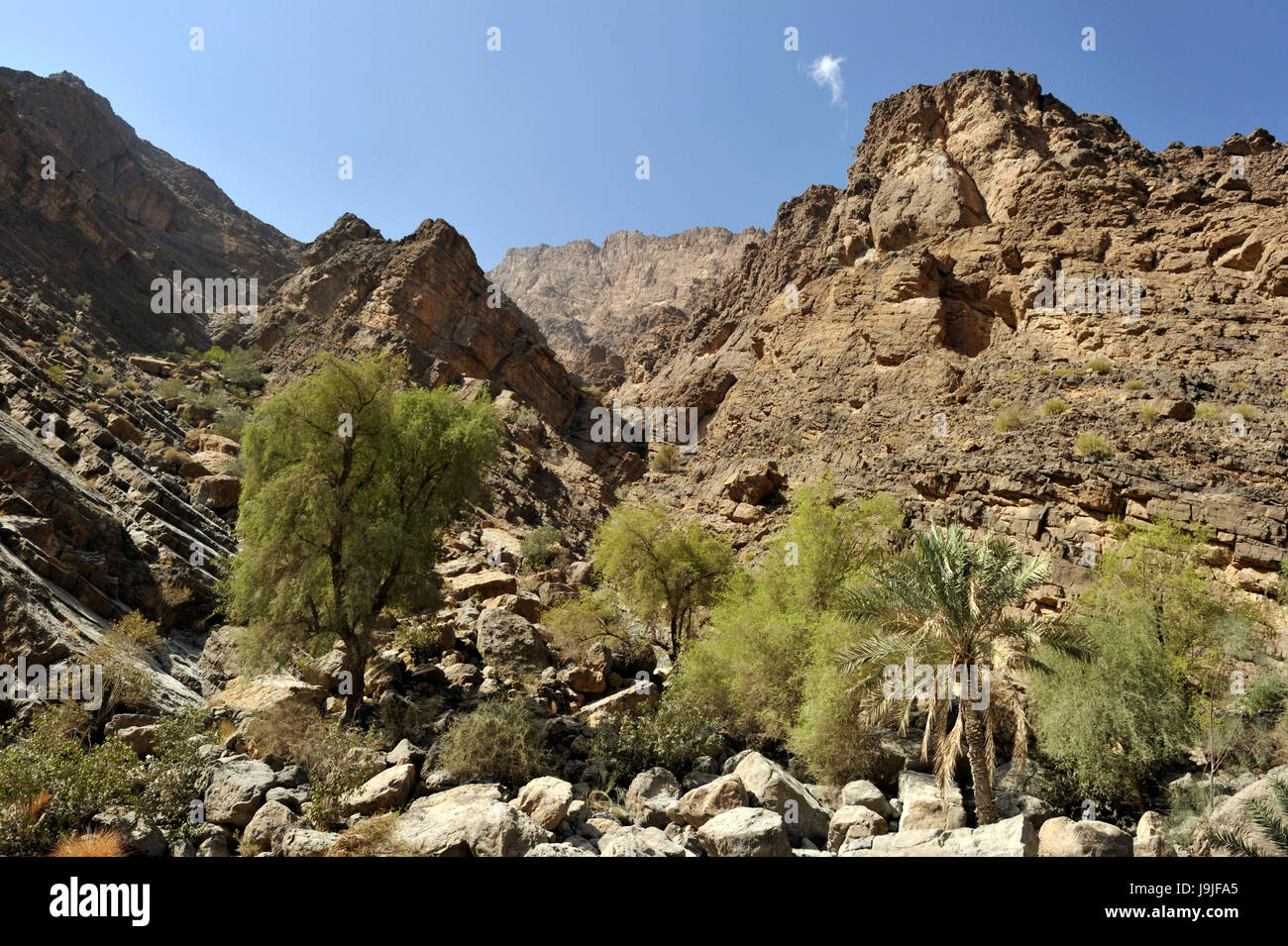 Sultanate of Oman, Western Hajar Mountains, Al-Batinah, Wadi A' Sahten ...