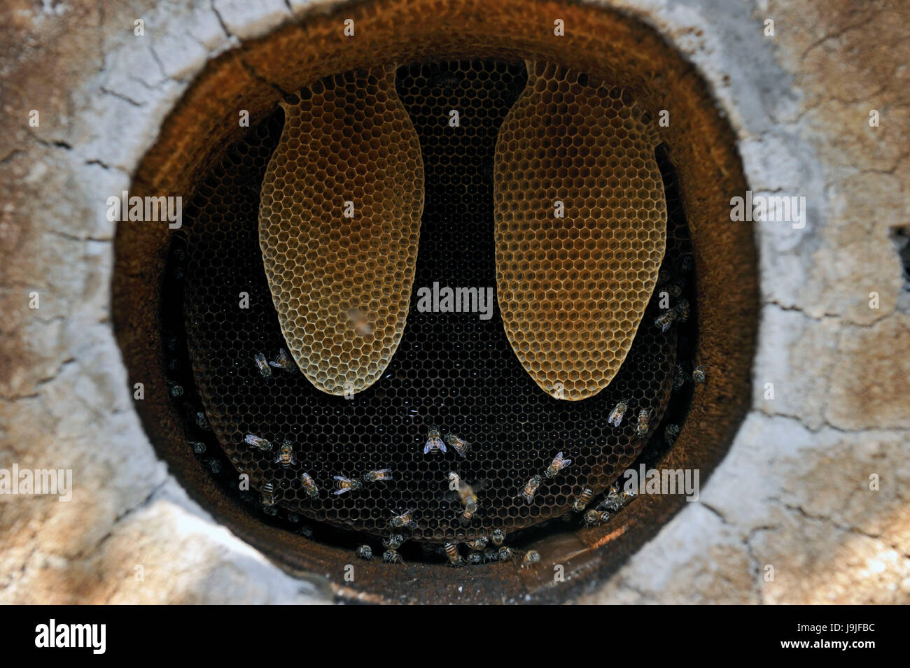 Sultanate of Oman, Western Hajar Mountains, Al-Batinah, Wadi A' Sahten ...