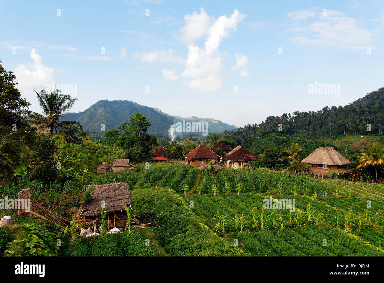 Indonesia, Bali, Subak irrigation system, listed as World Heritage by ...