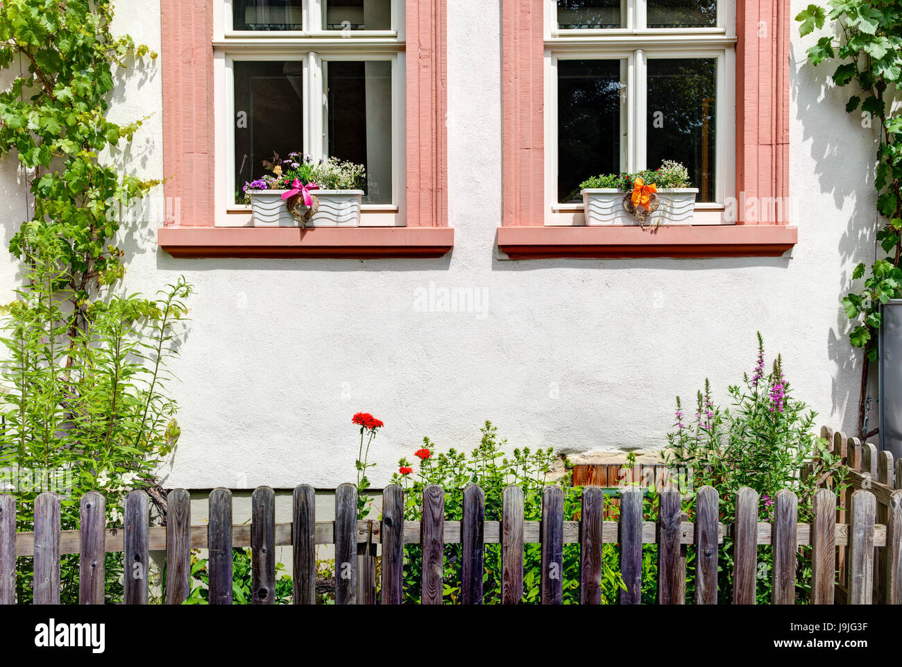Window, house facade, Münnerstadt, Lower Franconia, Franconia, Bavaria ...