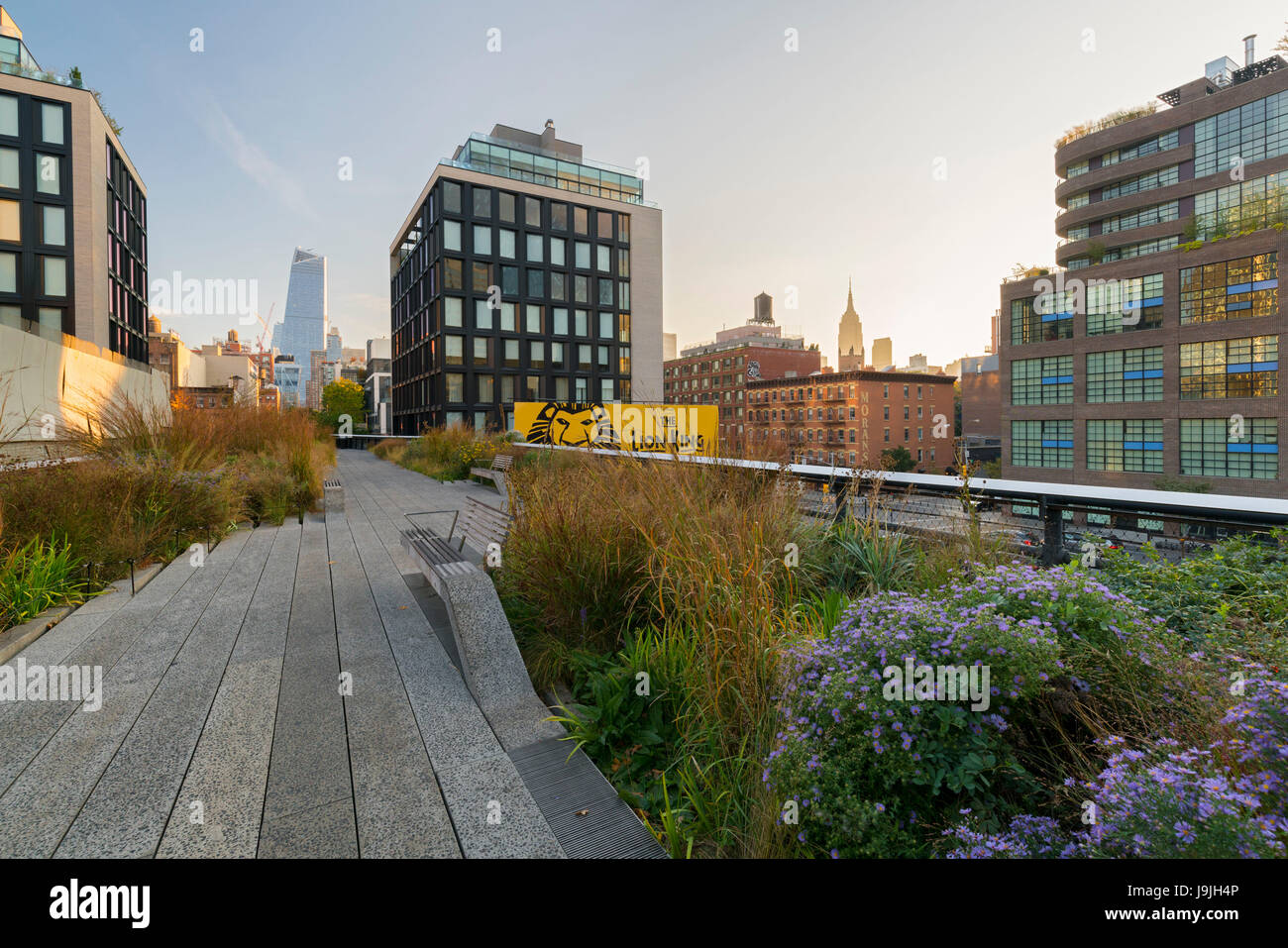 The High Line park, Manhattan, New York city, New York, the USA Stock ...