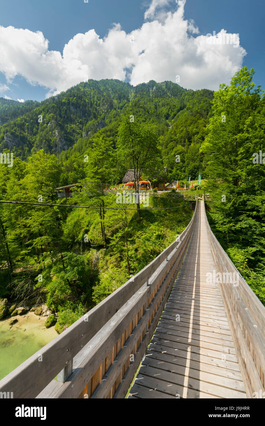 Bridge about the Salza at the Wasserlochklamm (gorge), Styria, Austria ...