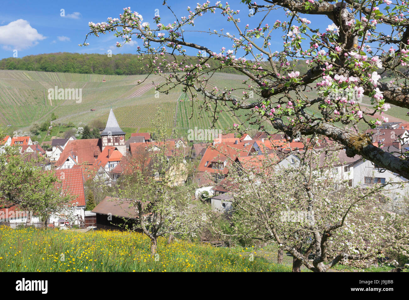 Rems murr area hi-res stock photography and images - Alamy