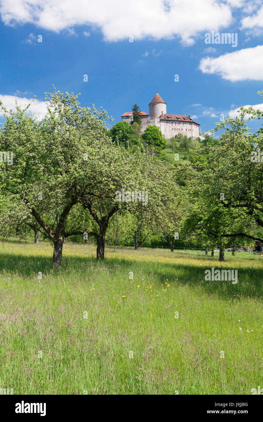 Burg Reichenberg, Oppenweiler, Rems Murr Kreis (district), Baden ...