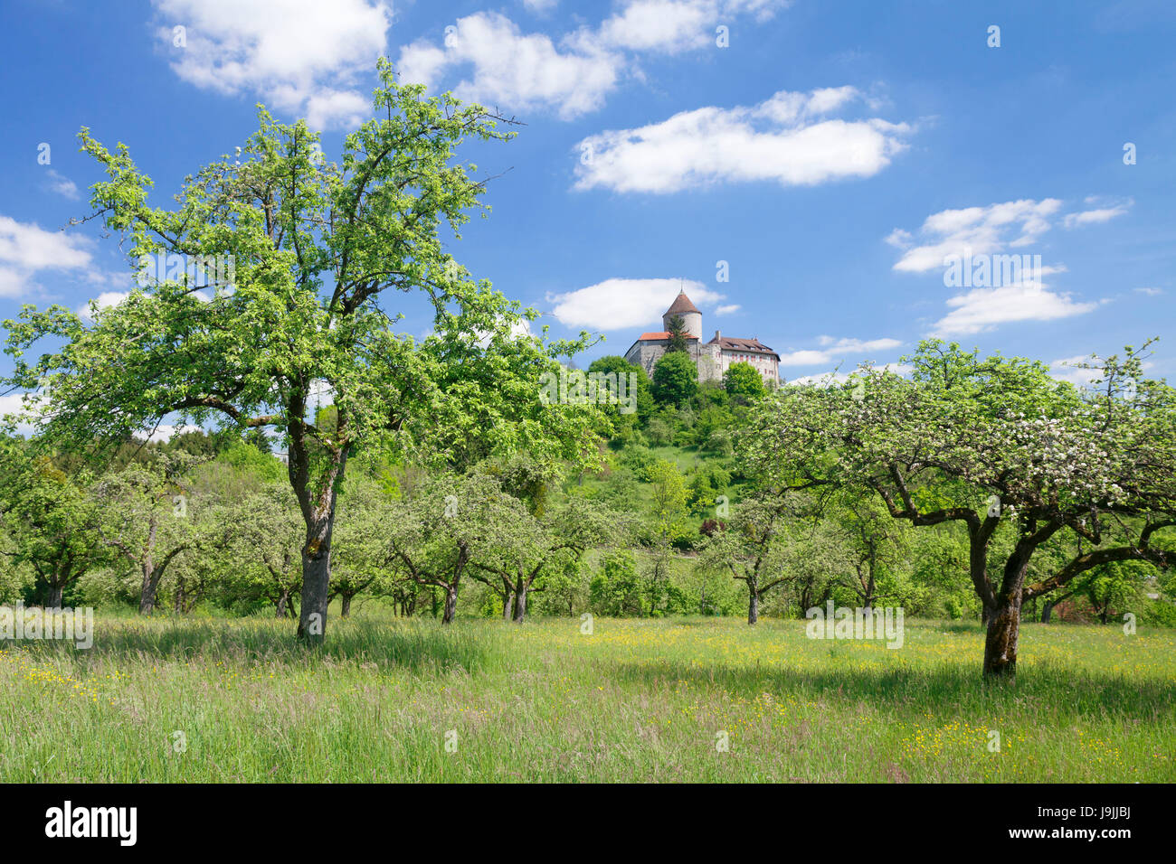 Burg Reichenberg, Oppenweiler, Rems Murr Kreis (district), Baden ...