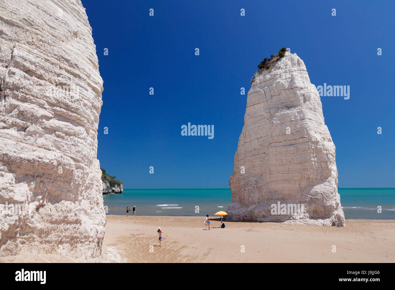 Pizzomunno lime rocks on the beach of Castello, Vieste, Gargano ...