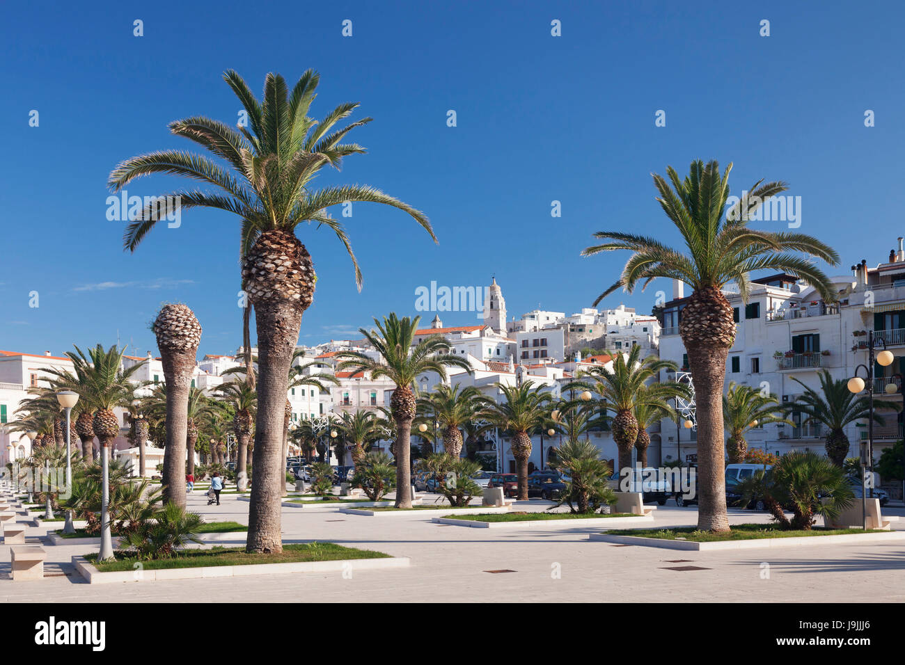 View of the Piazza Kennedy to the Old Town with cathedral, Vieste ...