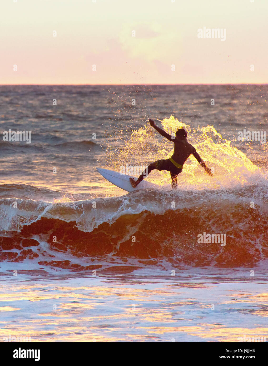 Surfer surf in the ocean at sunset. Bali island Stock Photo - Alamy