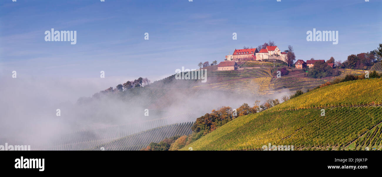 Castle Staufenberg, Durbach, Black Forest, Baden-Wurttemberg, Germany Stock Photo - Alamy