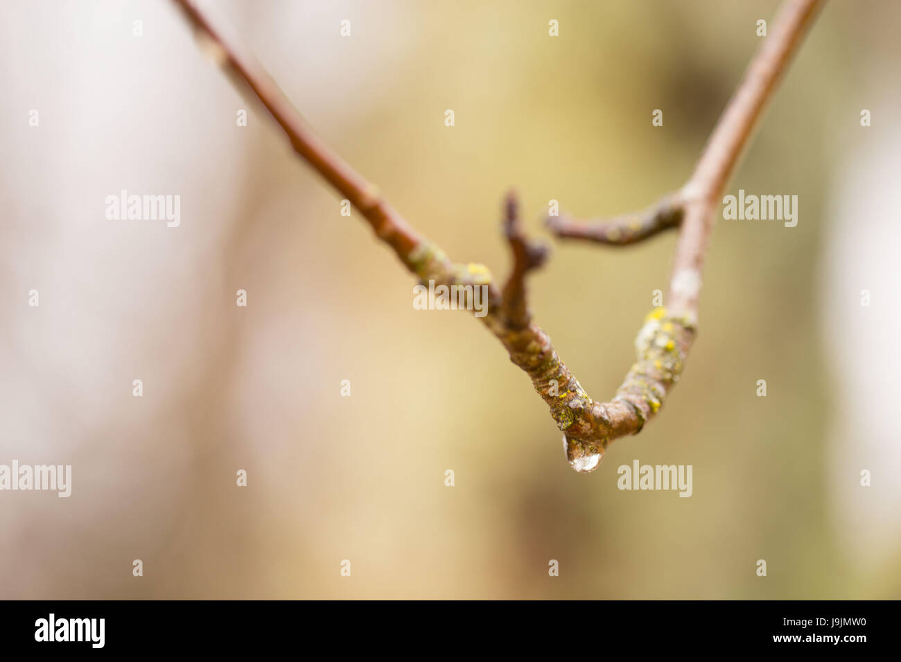 4 drop hi-res stock photography and images - Alamy