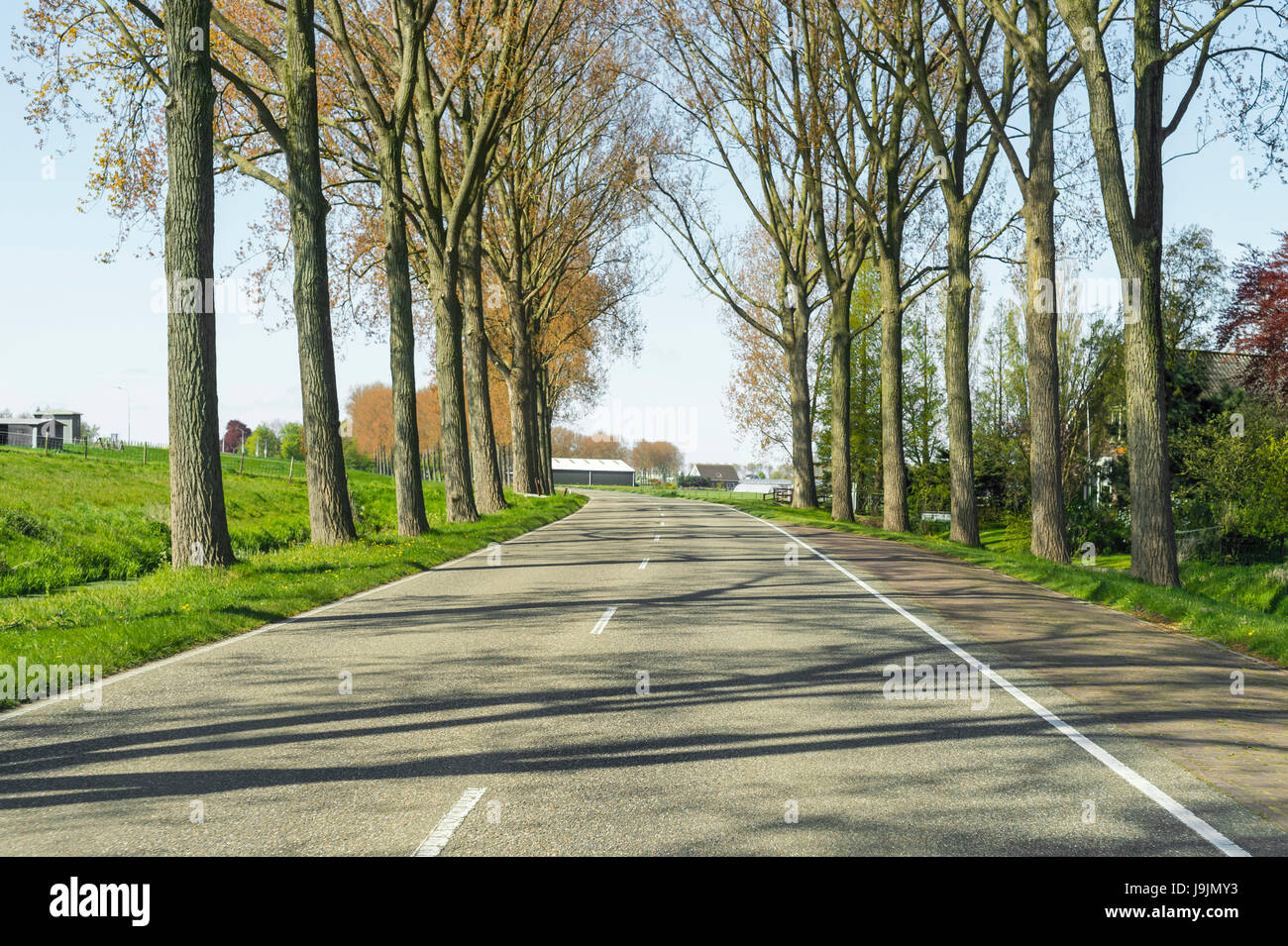 Countryroad in spring, Abbenes, North Holland, Netherlands Stock Photo ...