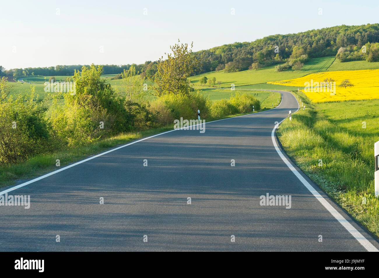 Road in countryside in spring, Birkenfeld, Franconia, Bavaria, Germany ...