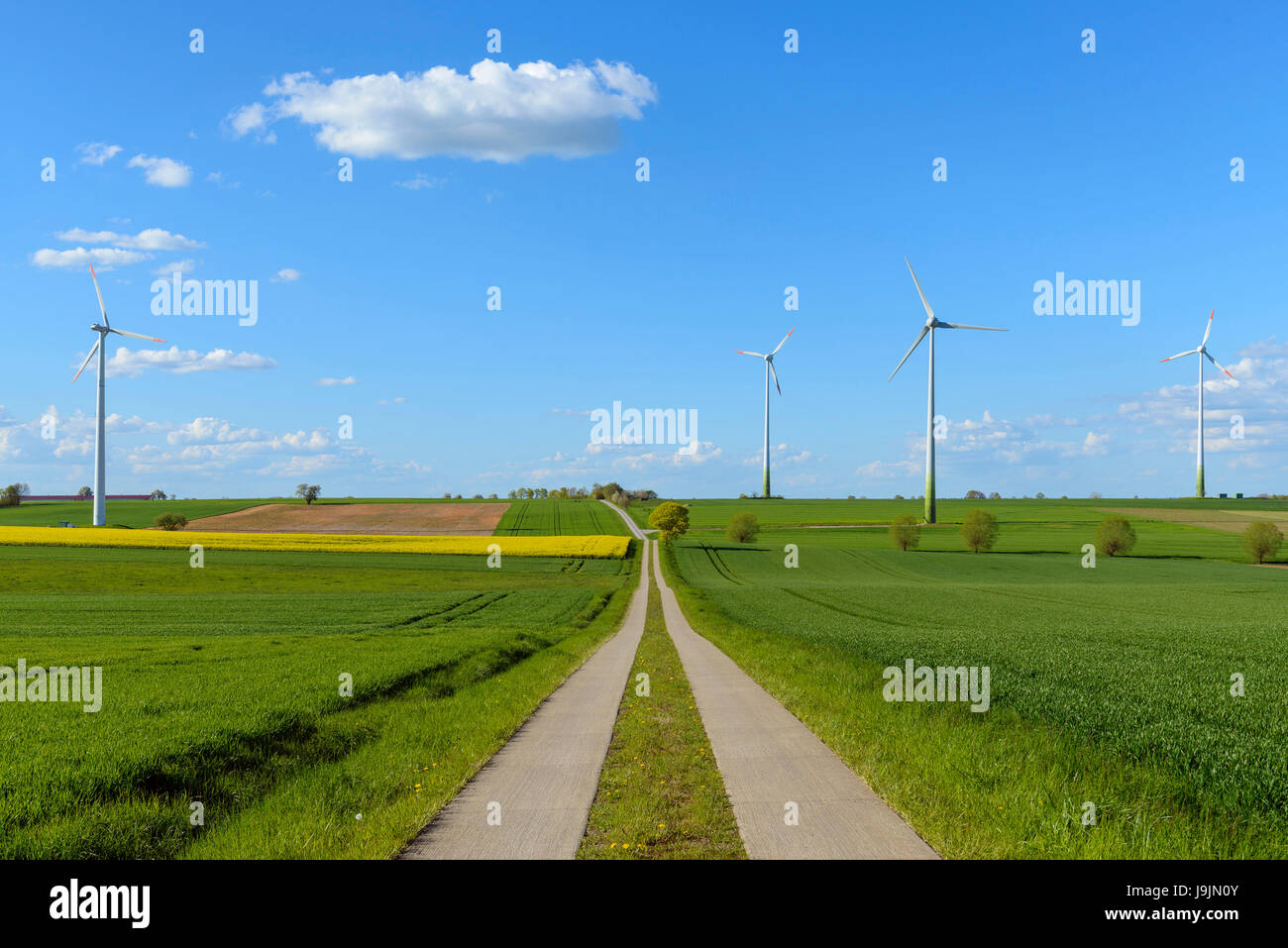Countryside with field path and wind turbines, Rothenburg ob der Tauber ...
