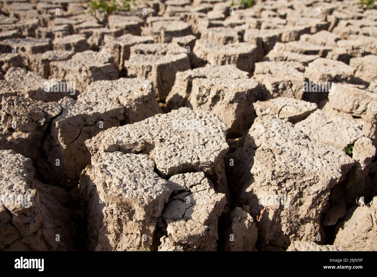 desert, wasteland, dirt, drought, erosion, dry, dried up, barren ...