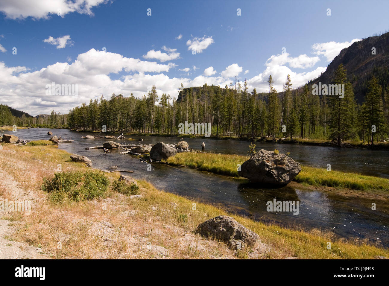 blue, beautiful, beauteously, nice, travel, tree, stone, wild, tourism ...