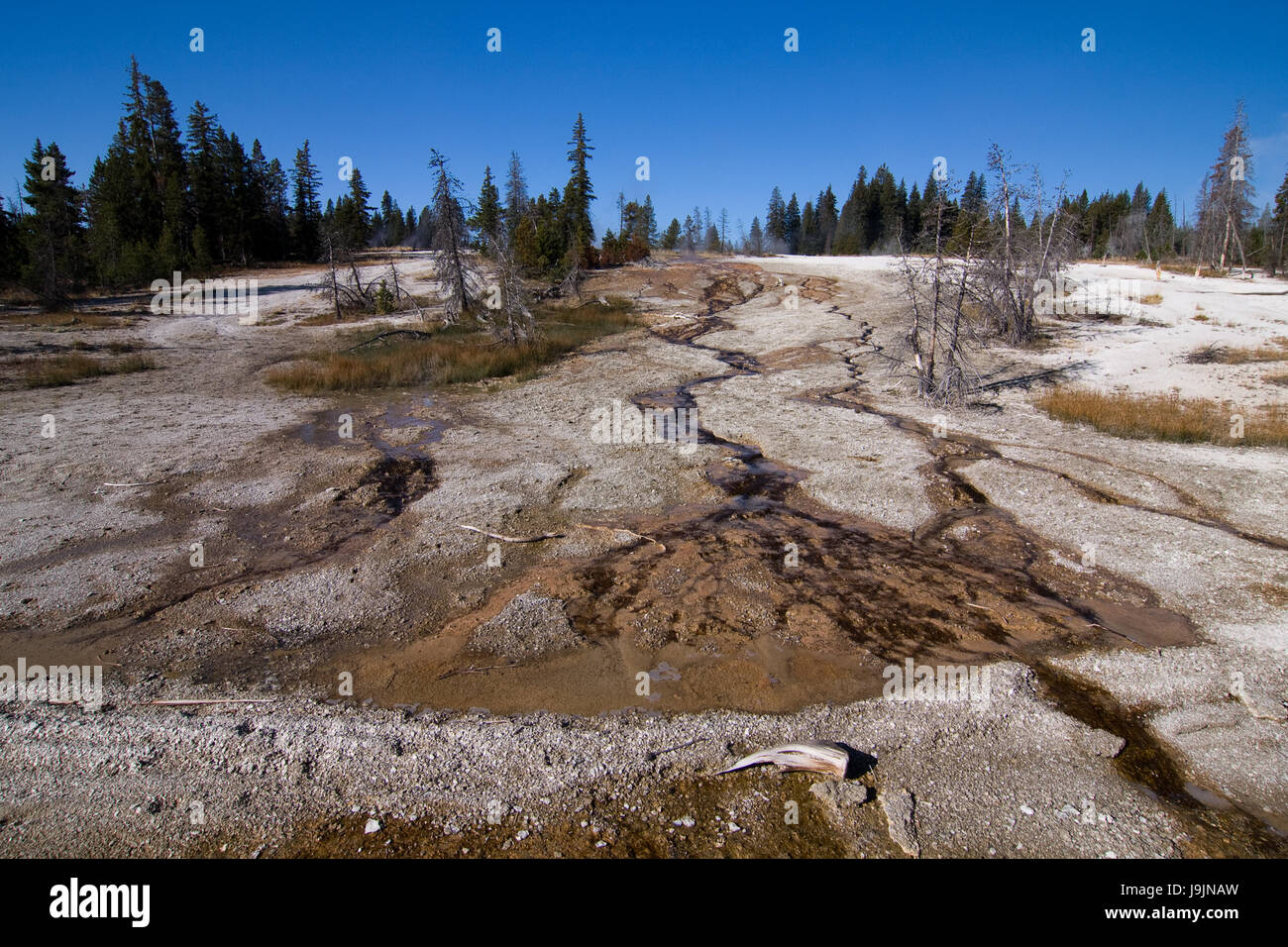 blue, colour, tree, park, steam, summer, summerly, hot, stream, depth ...